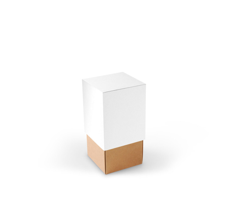 Shop Vertical Gift Box With Lid | SelfPackaging